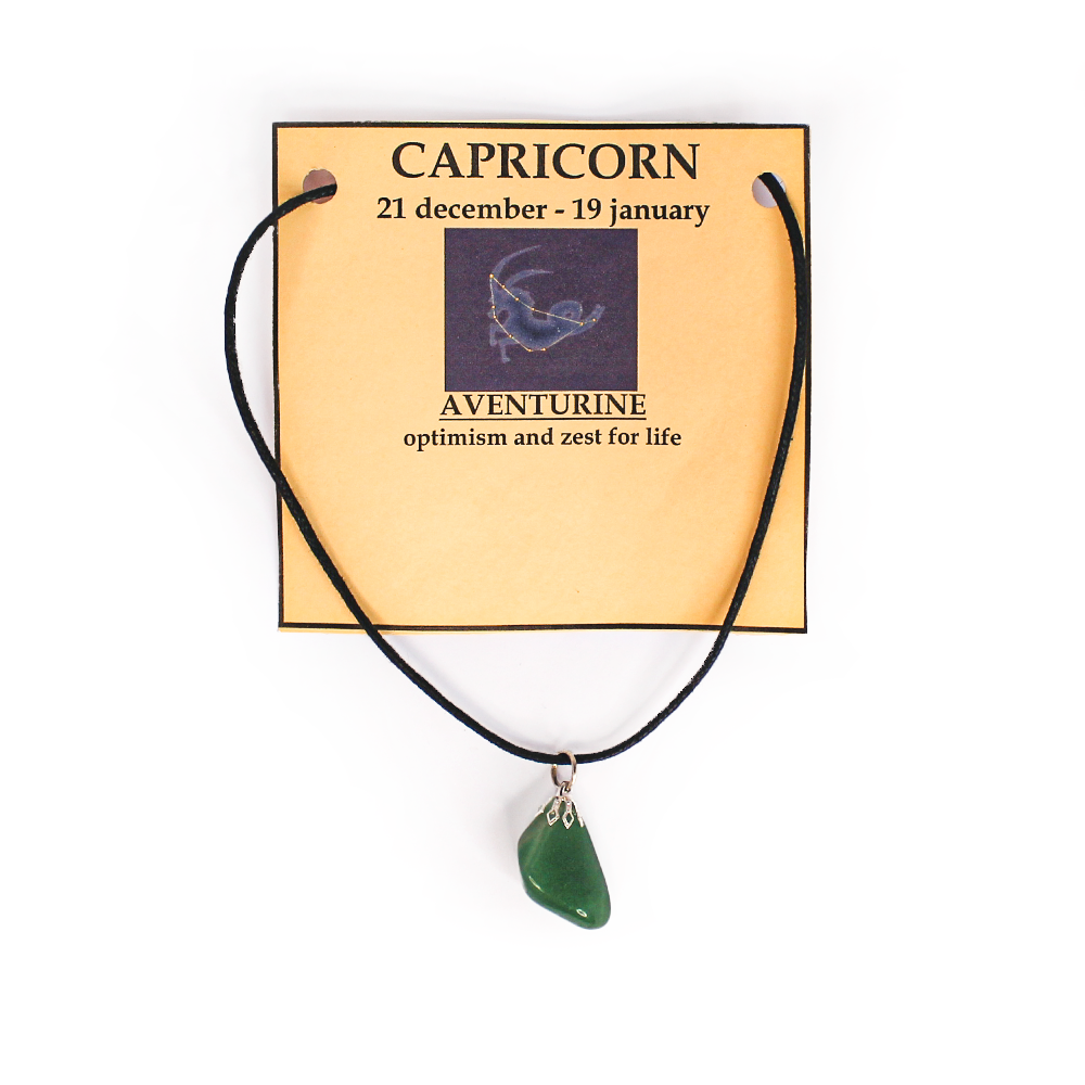 Capricorn Pendant – greensquareshop