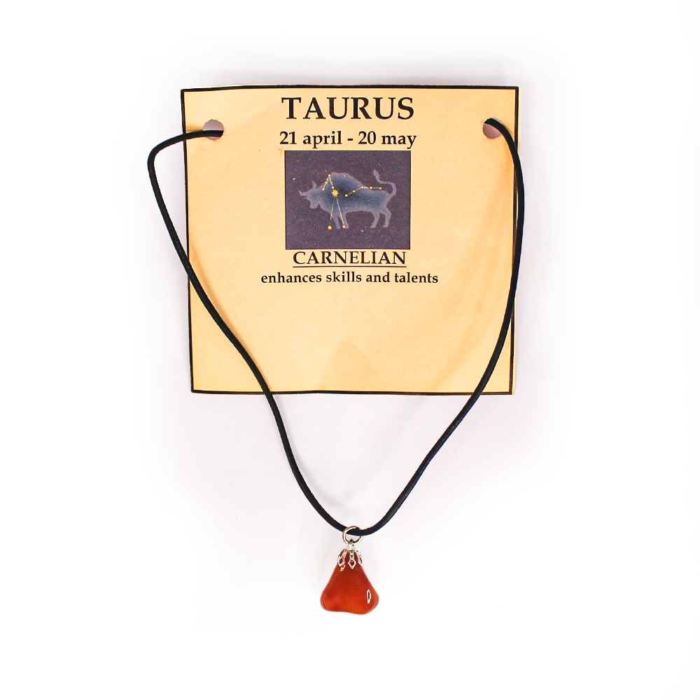 Taurus Pendant – greensquareshop