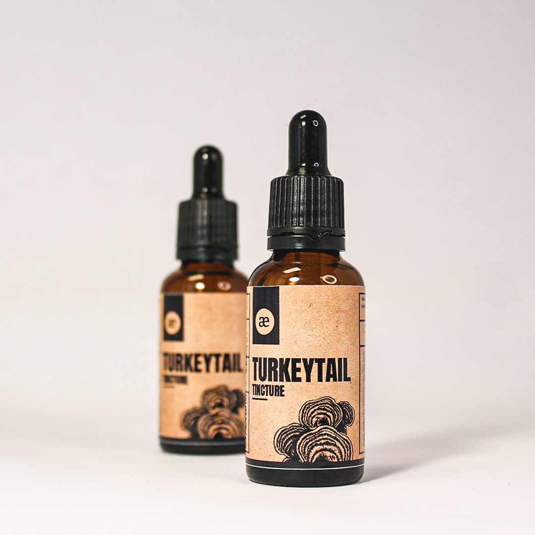 Turkey Tail Tincture 30ml – greensquareshop